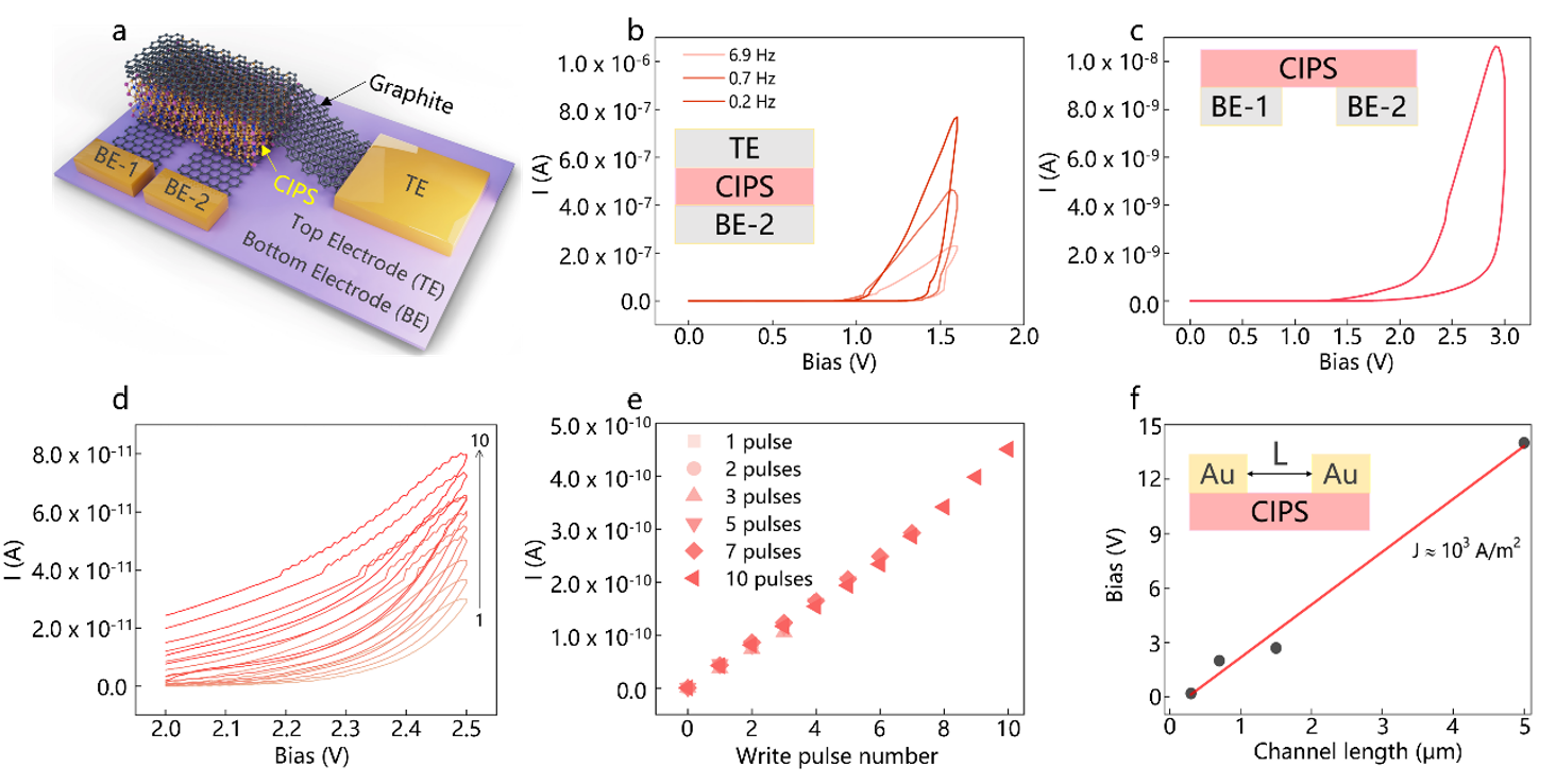 成会明、刘碧录团队在离子型二维材料用于神经形态计算上取得新进展