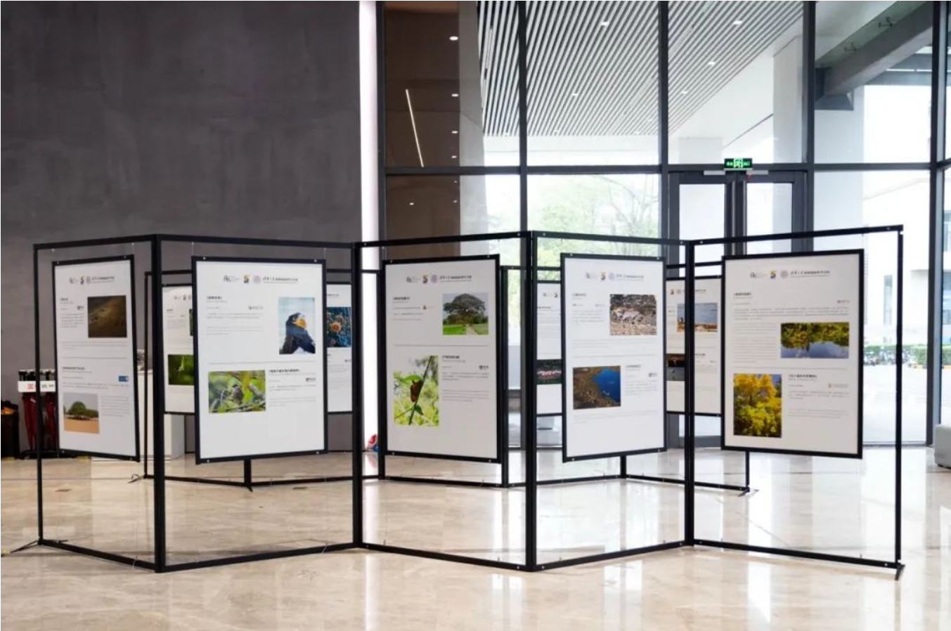 Visit the AUA Biodiversity Photo Exhibition in Info Building!