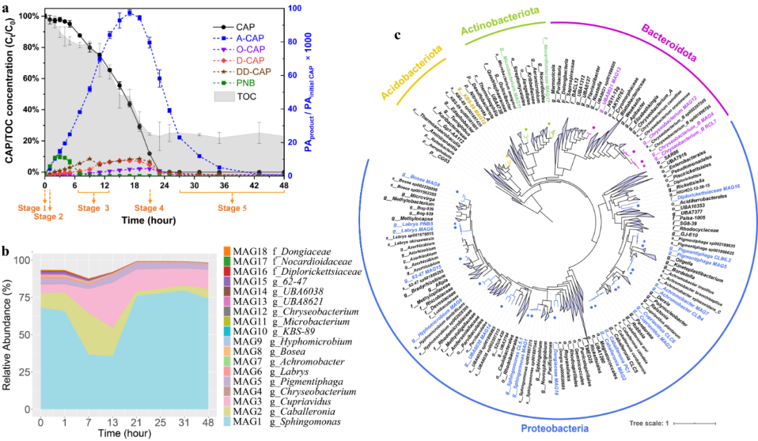 李炳课题组在抗生素类新污染物生物降解领域取得新进展