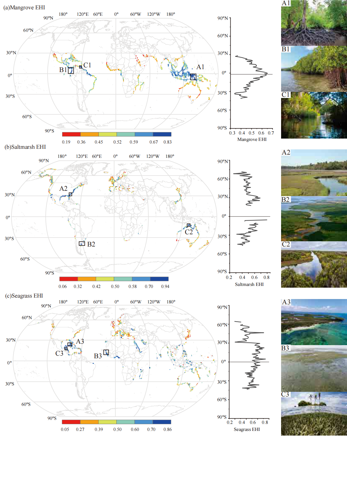 New Progress in Blue Carbon Ecotone Health Assessment