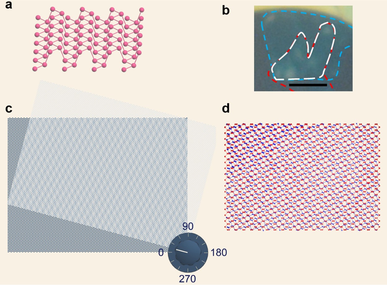 New SIGS research explores moiré physics in twisted phosphorenes