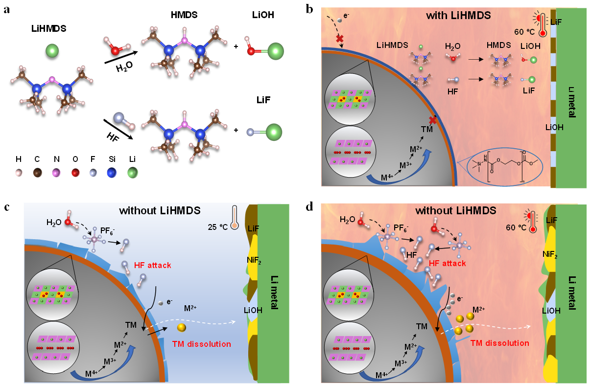 贺艳兵课题组在高电压耐高温锂金属电池研究取得新进展